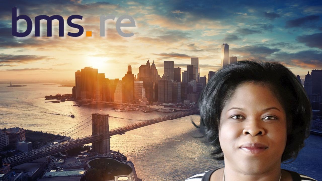 BMS Re attracts Aon veteran for top US finance role | Intelligent Insurer